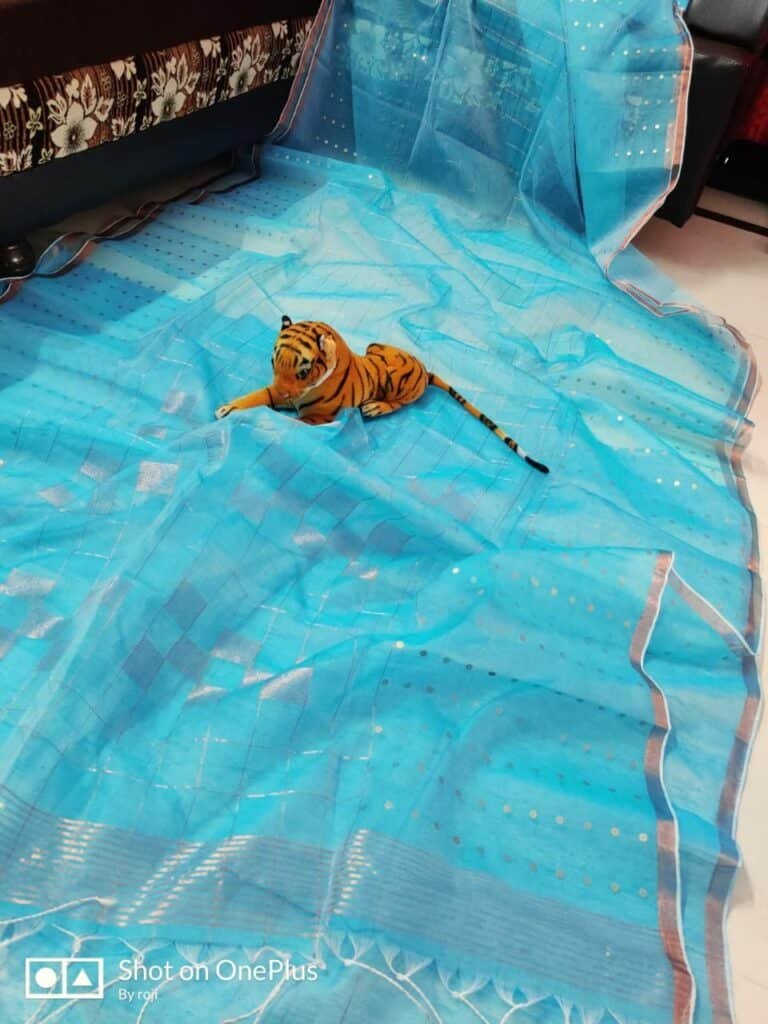 Heavenly Light Blue Resham Muslin Silk Handwoven Sequins Embeded Saree ...